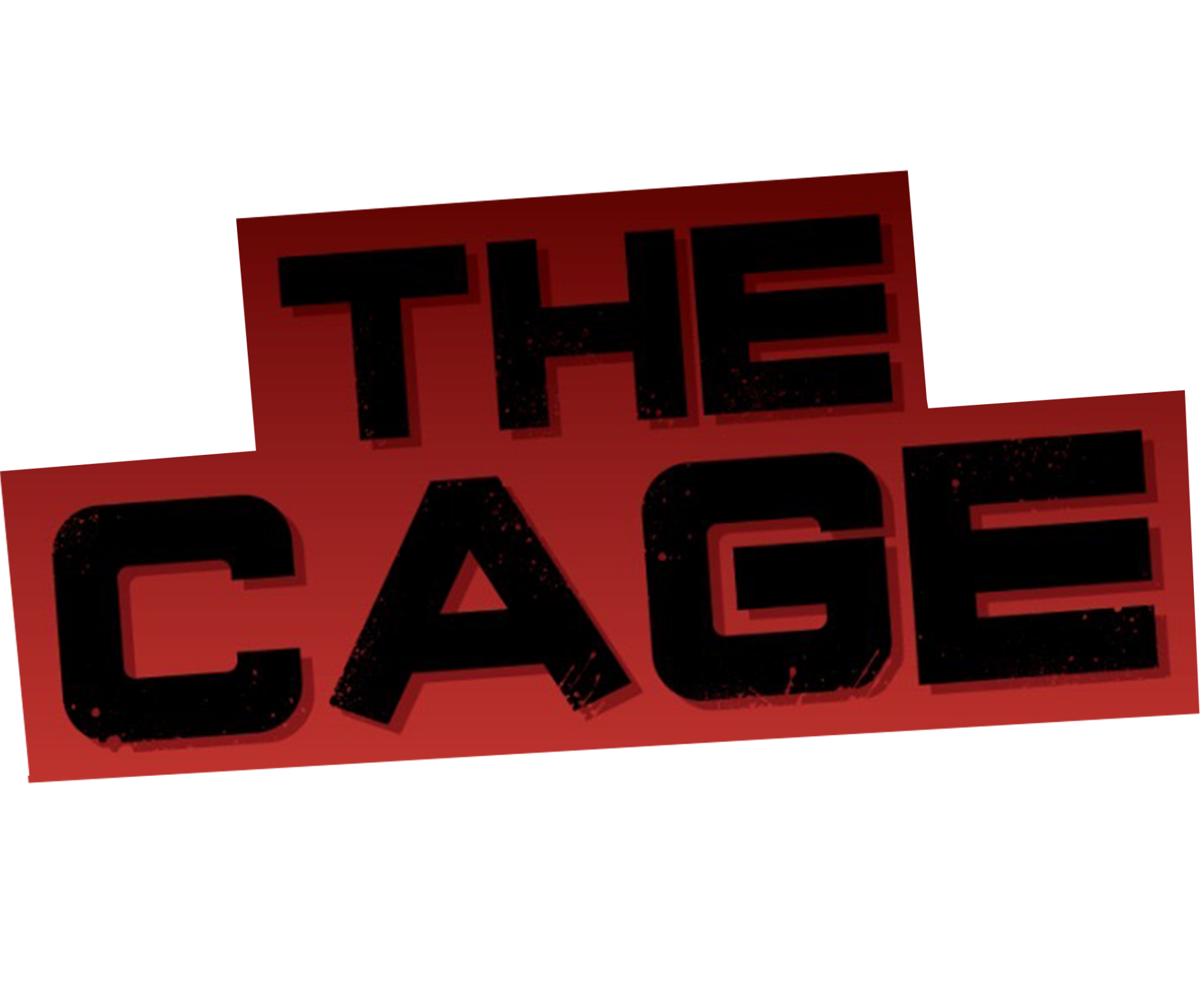 Essex Escape Rooms | The Cage