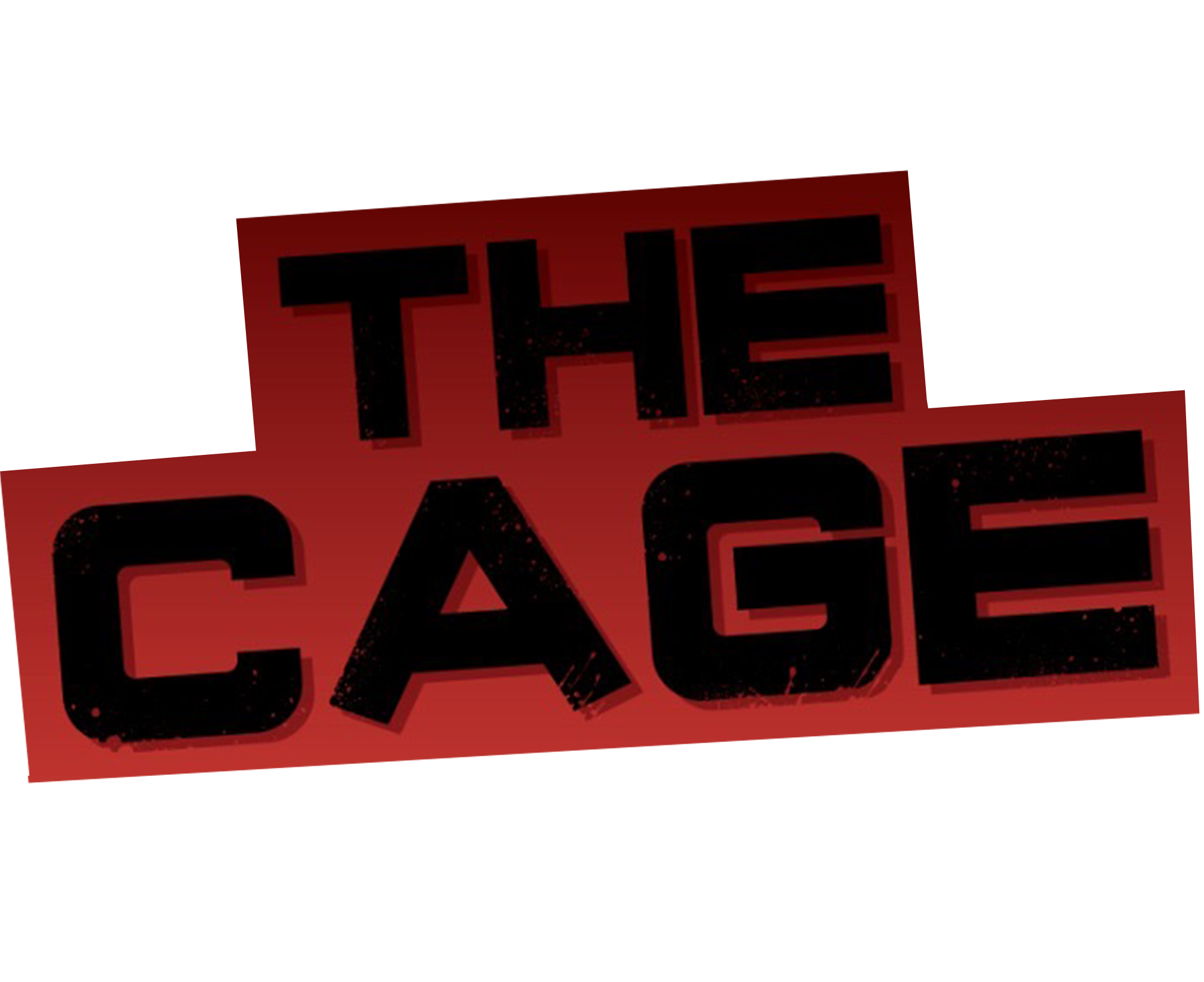 Essex Escape Rooms | The Cage